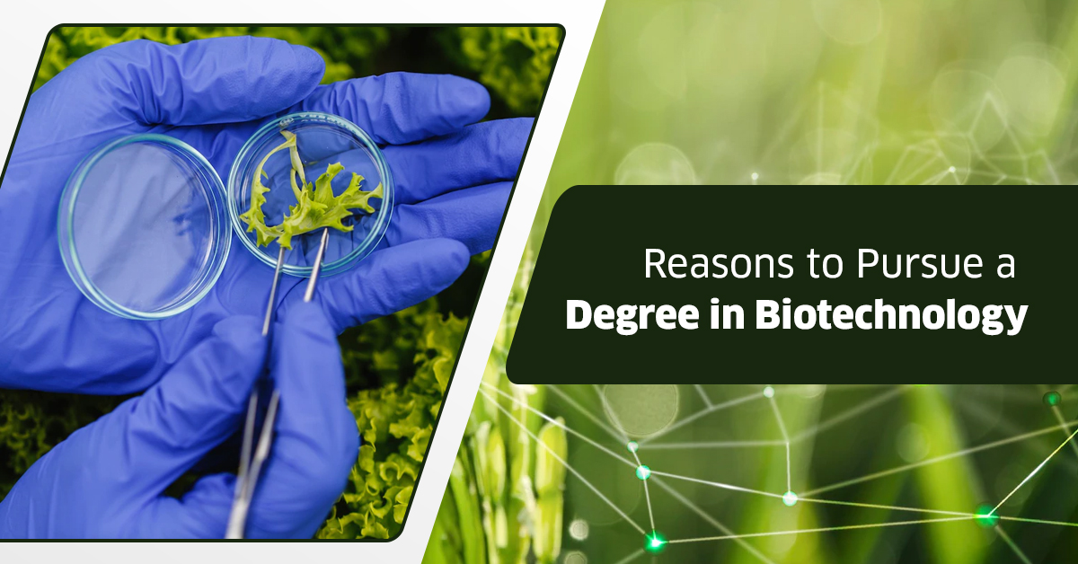 Reasons to Pursue a Degree in Biotechnology